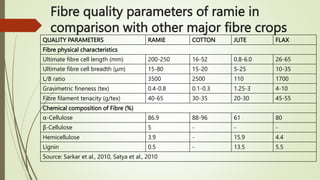 Ramie- The Strongest Bast Fibre of Nature | PPTX