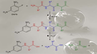 protein sequence analysis | PPTX