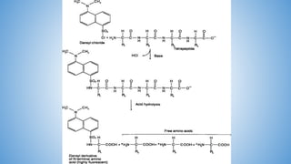 protein sequence analysis | PPTX