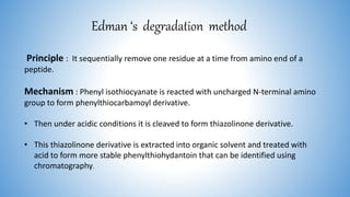 protein sequence analysis | PPTX