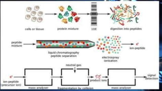 protein sequence analysis | PPTX