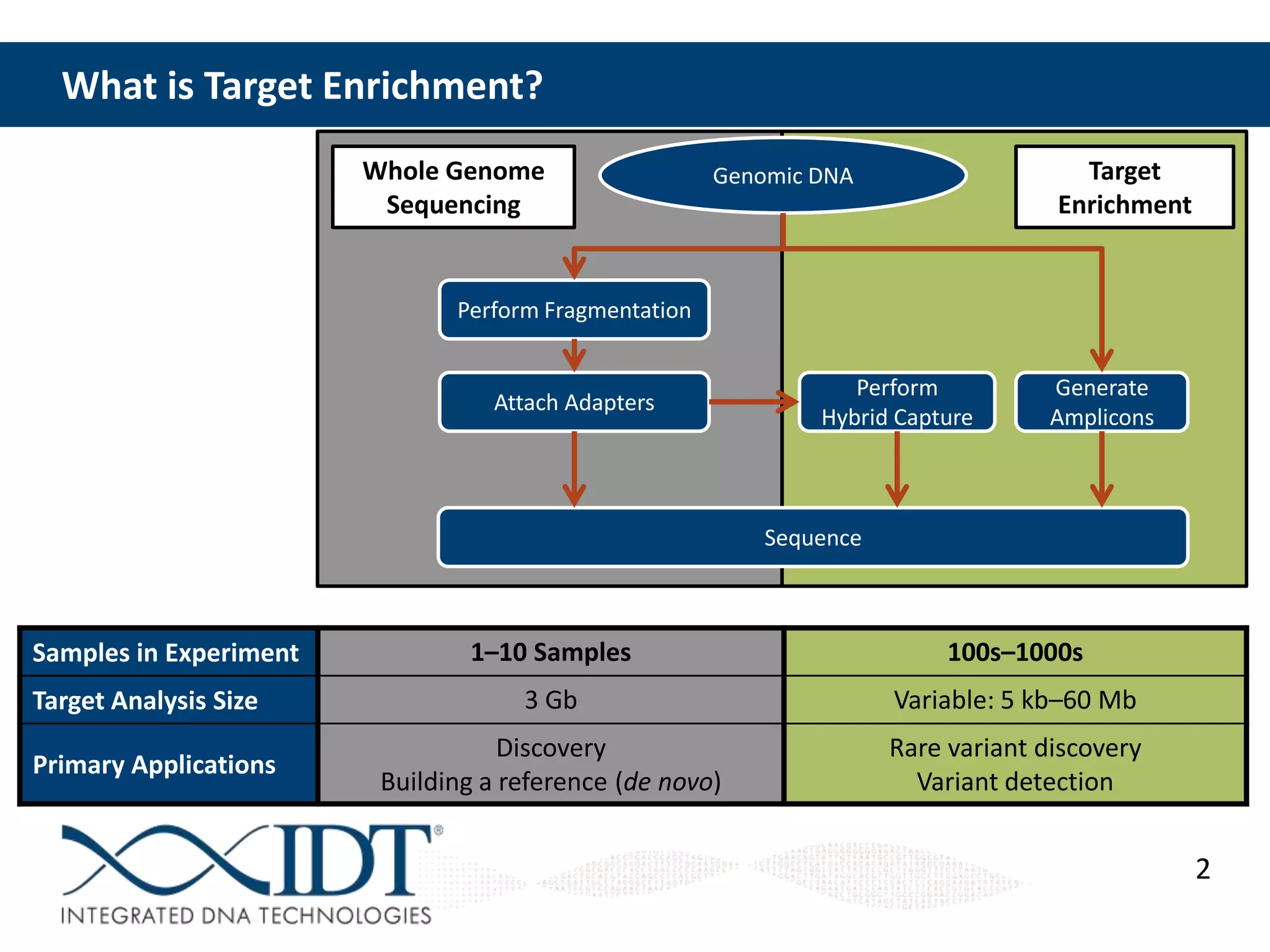 Custom Enrichment Panels For Targeted Next Generation Sequencing Ppt