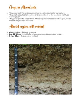 Ramkishan b.ed major types of soils | PDF