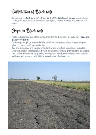 Ramkishan b.ed major types of soils | PDF