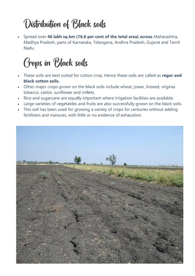 Ramkishan b.ed major types of soils | PDF