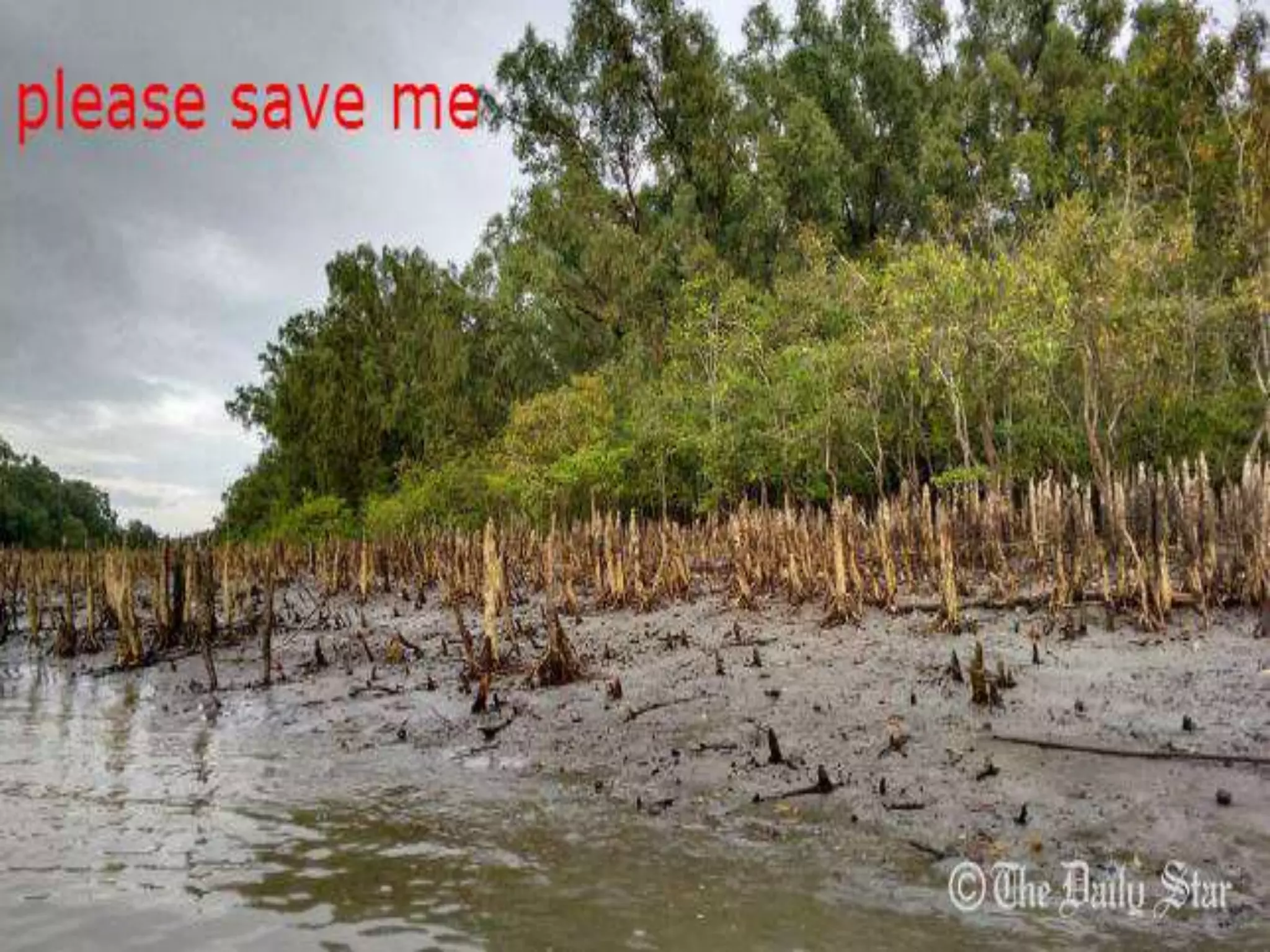 Rampalpowerstation by riad badhon | PPTX