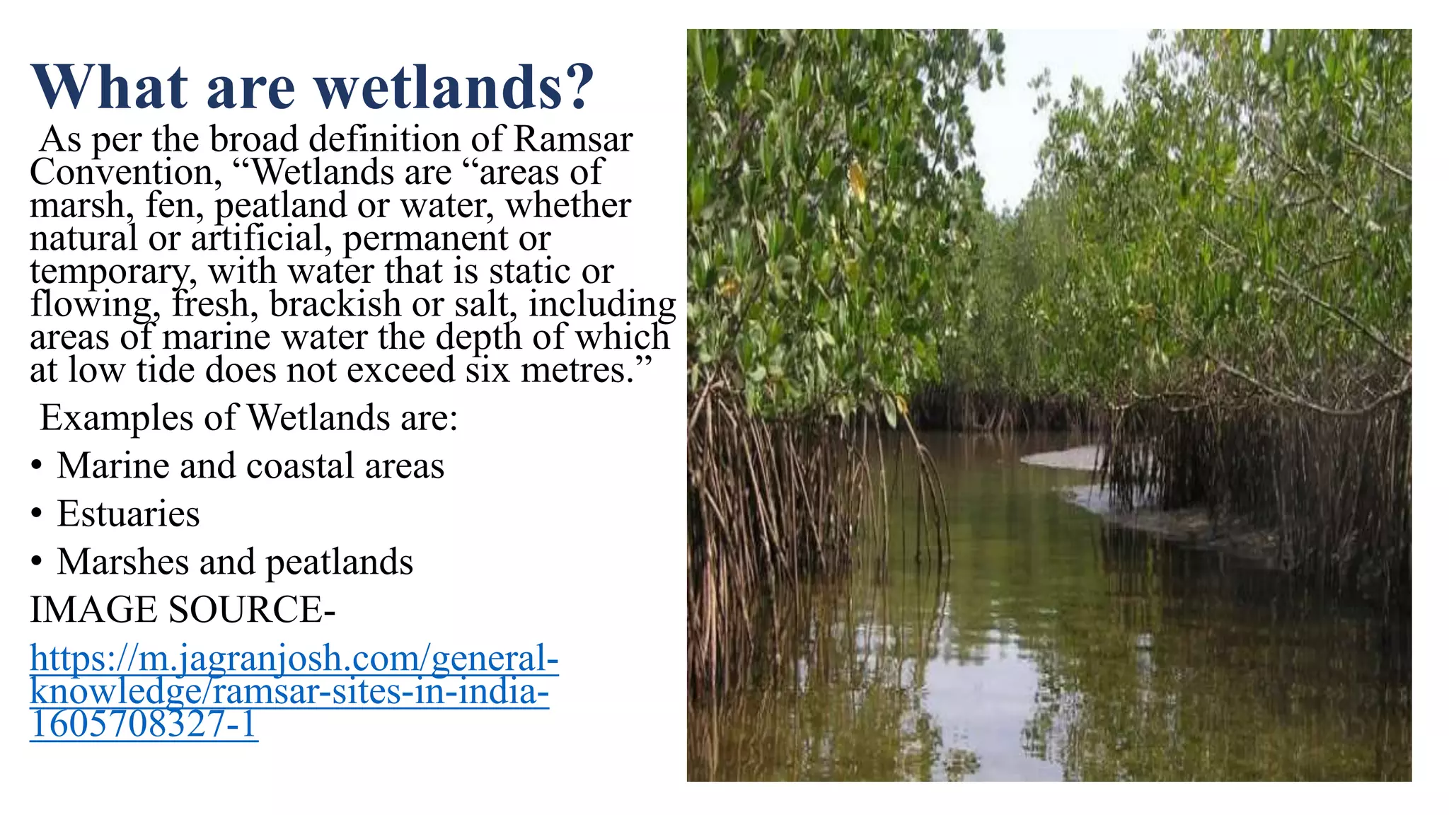 Ramsar convention (1) | PPTX