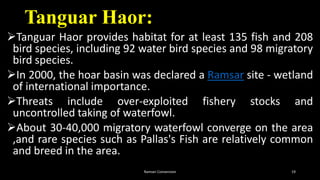 Ramsar Convention | PPTX