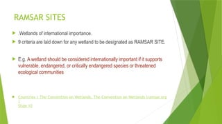 Ramsar sites Class 12 Biology Chapter - 13.pptx