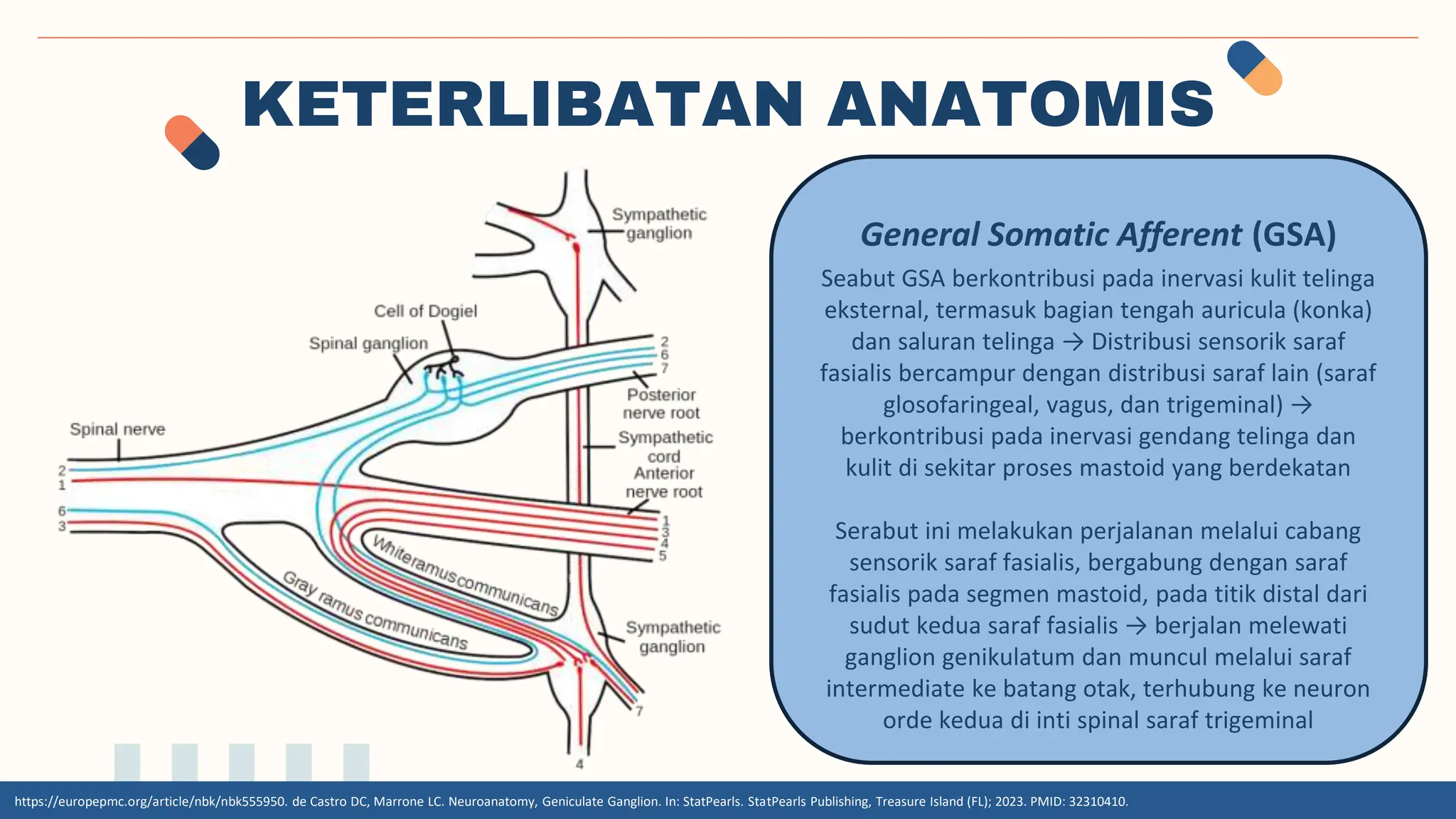 Ramsay Hunt Syndrome, sebuah gejala klinis, patofisiologi, eriolog ...
