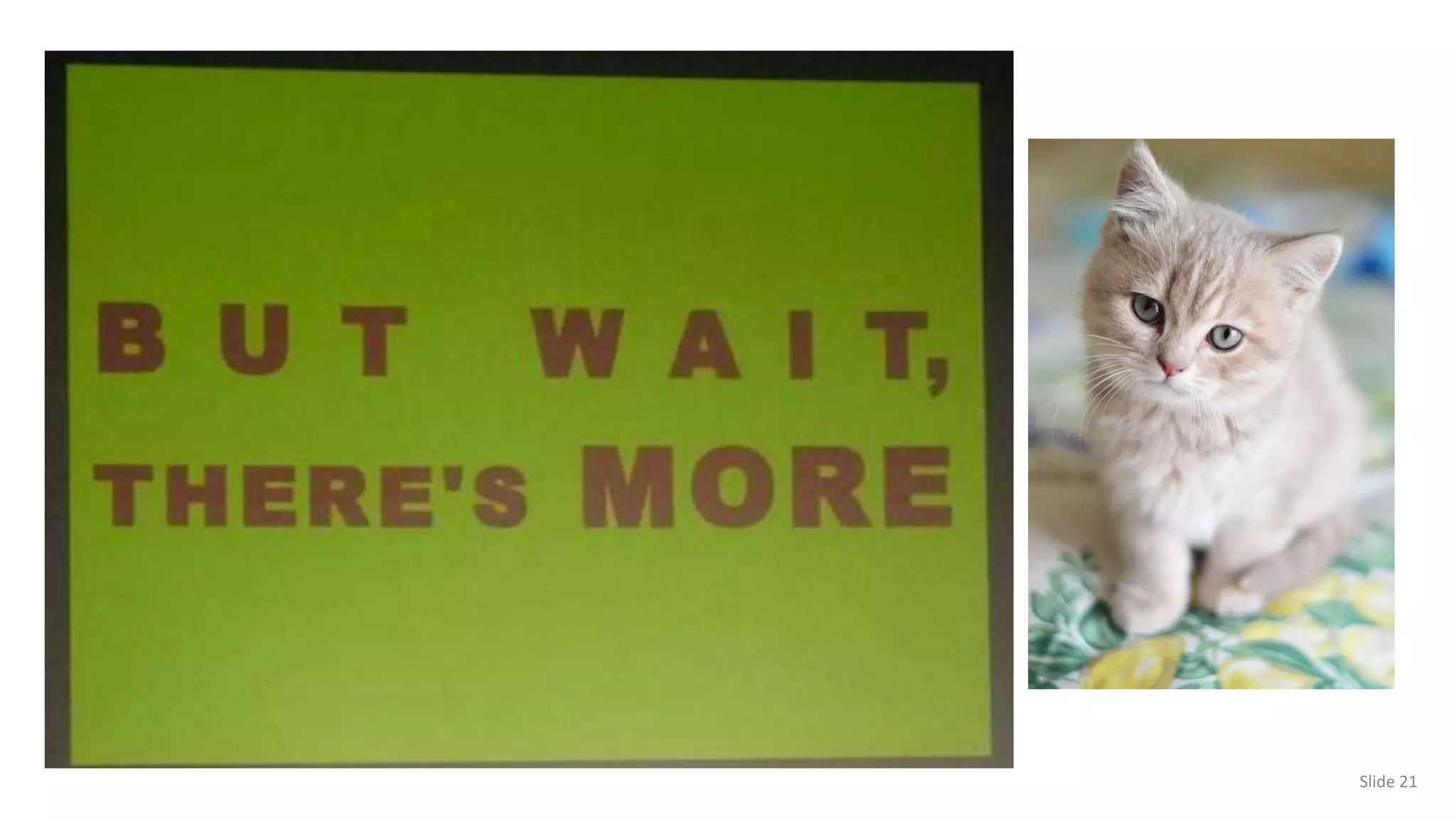 Auto visualization and viml | PPTX