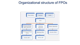 Rams FPO PPT.pptx