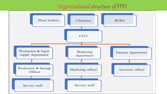Rams FPO PPT.pptx | Agriculture | Industries