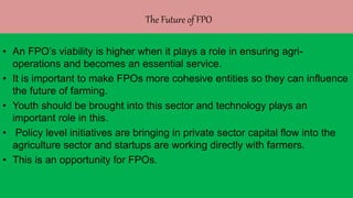 Rams FPO PPT.pptx