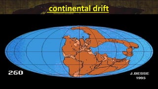 CONTINENTAL DRIFT THEORY PPT | PPTX