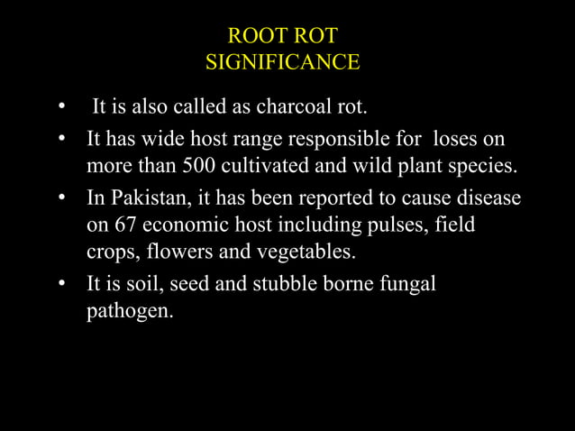 root rot and powdery mildew of sunflower(updated) | PPT