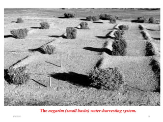 water harvesting technics | PPTX