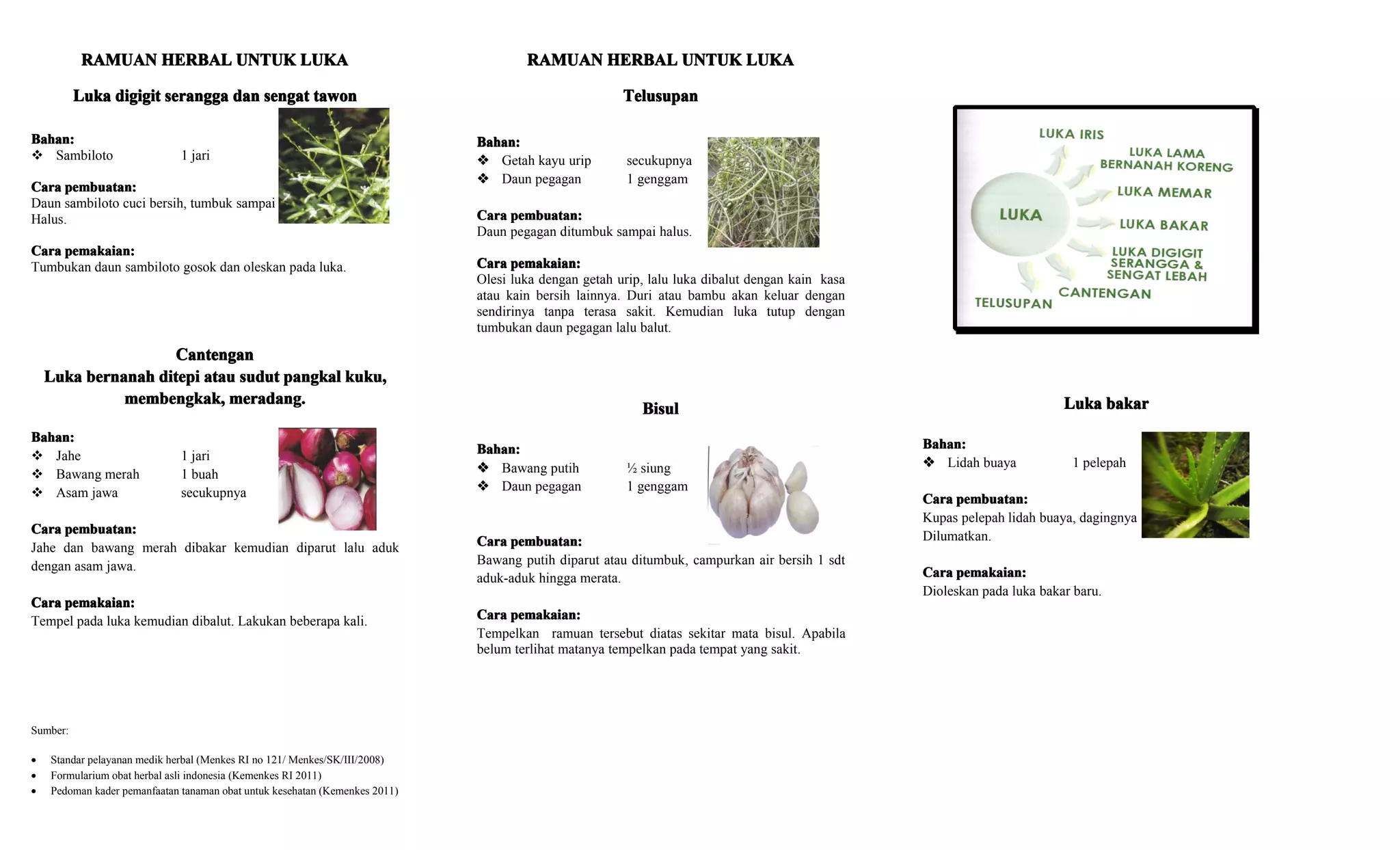 Ramuan herbal-untuk-luka | PDF