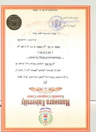 ICDL certificate | PDF