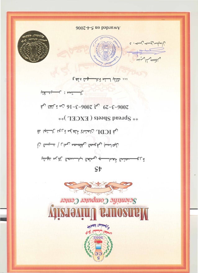 ICDL certificate | PDF