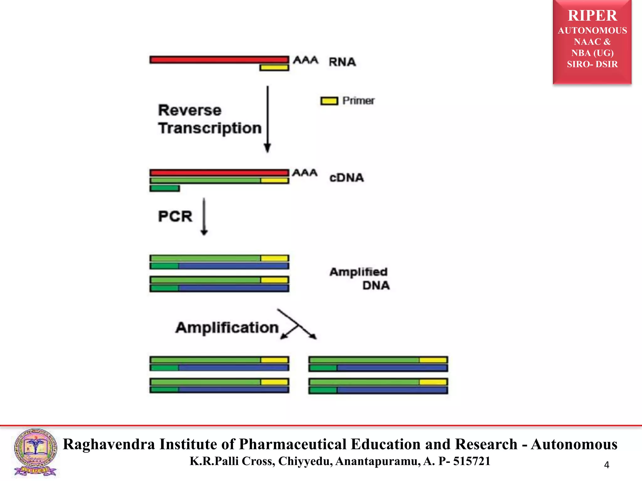 PCR and RT-PCR | PPTX | Chemistry | Science