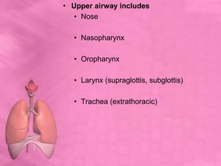 upper & lower airway obstruction | PPTX