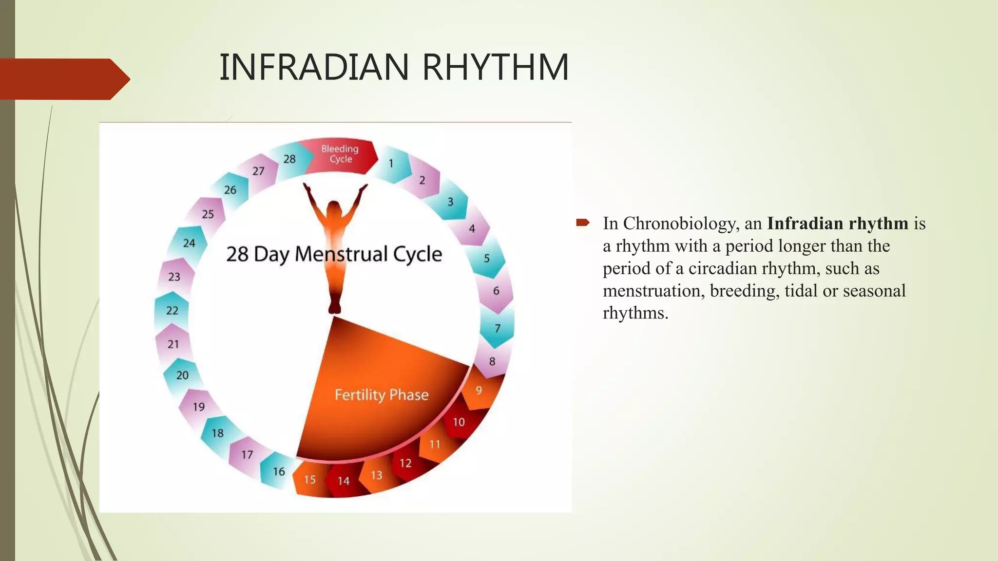 CHRONOBIOLOGY | PPTX