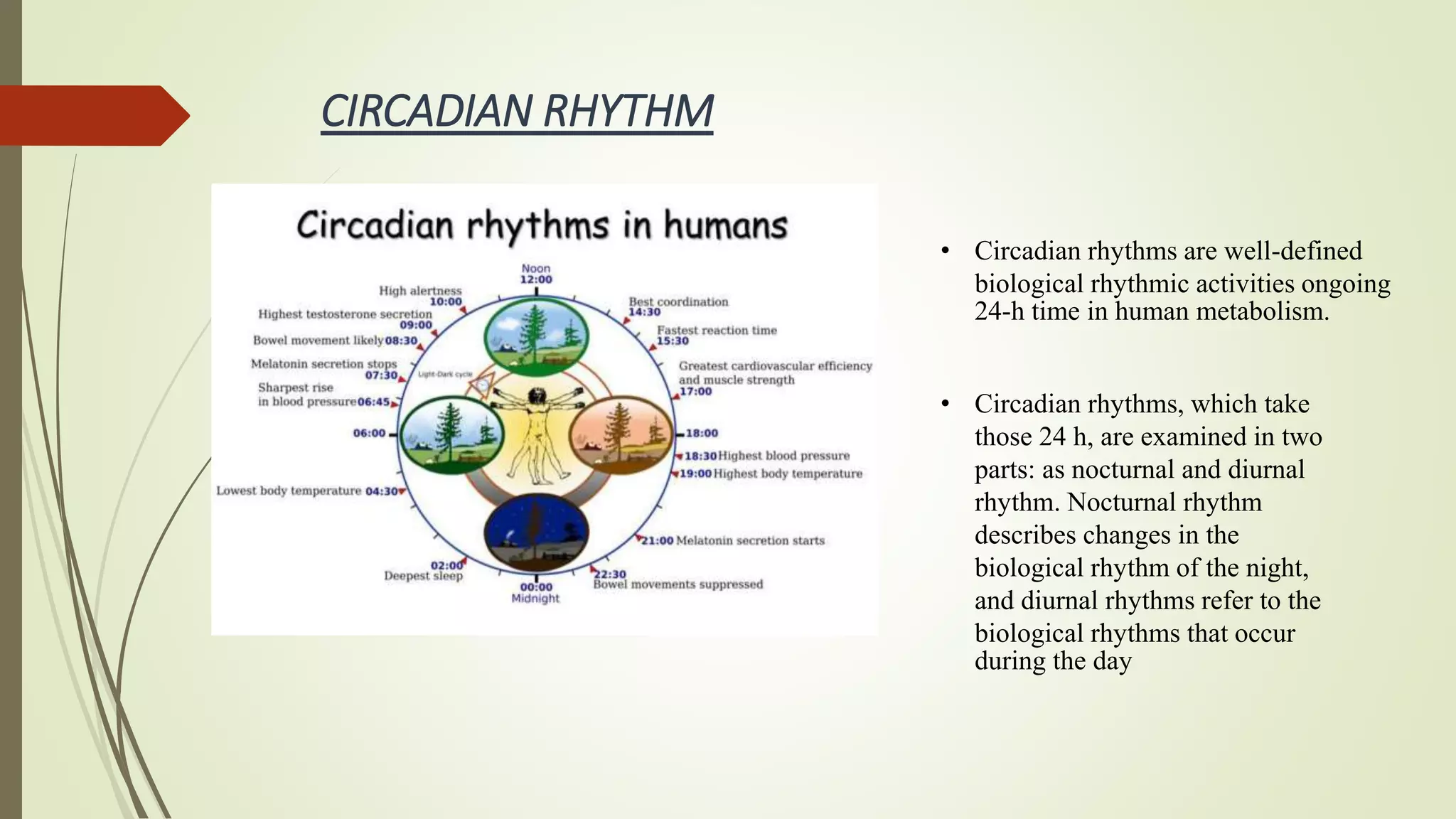 CHRONOBIOLOGY | PPTX