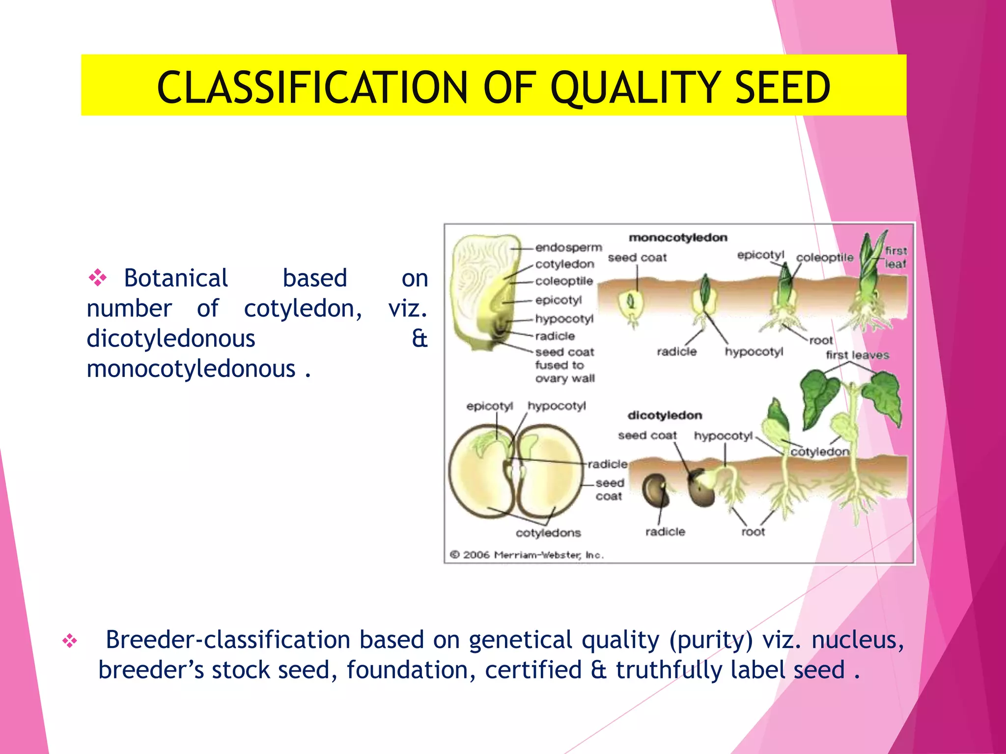 Quality Seed Production in Agriculture | PPTX