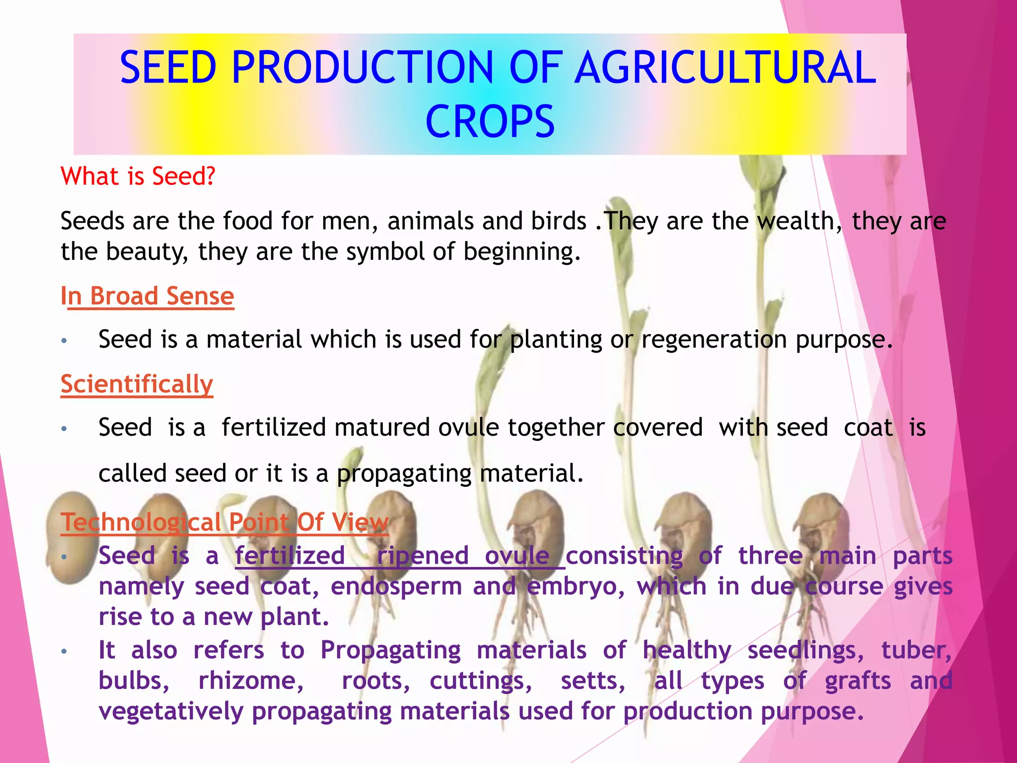 Quality Seed Production in Agriculture | PPTX