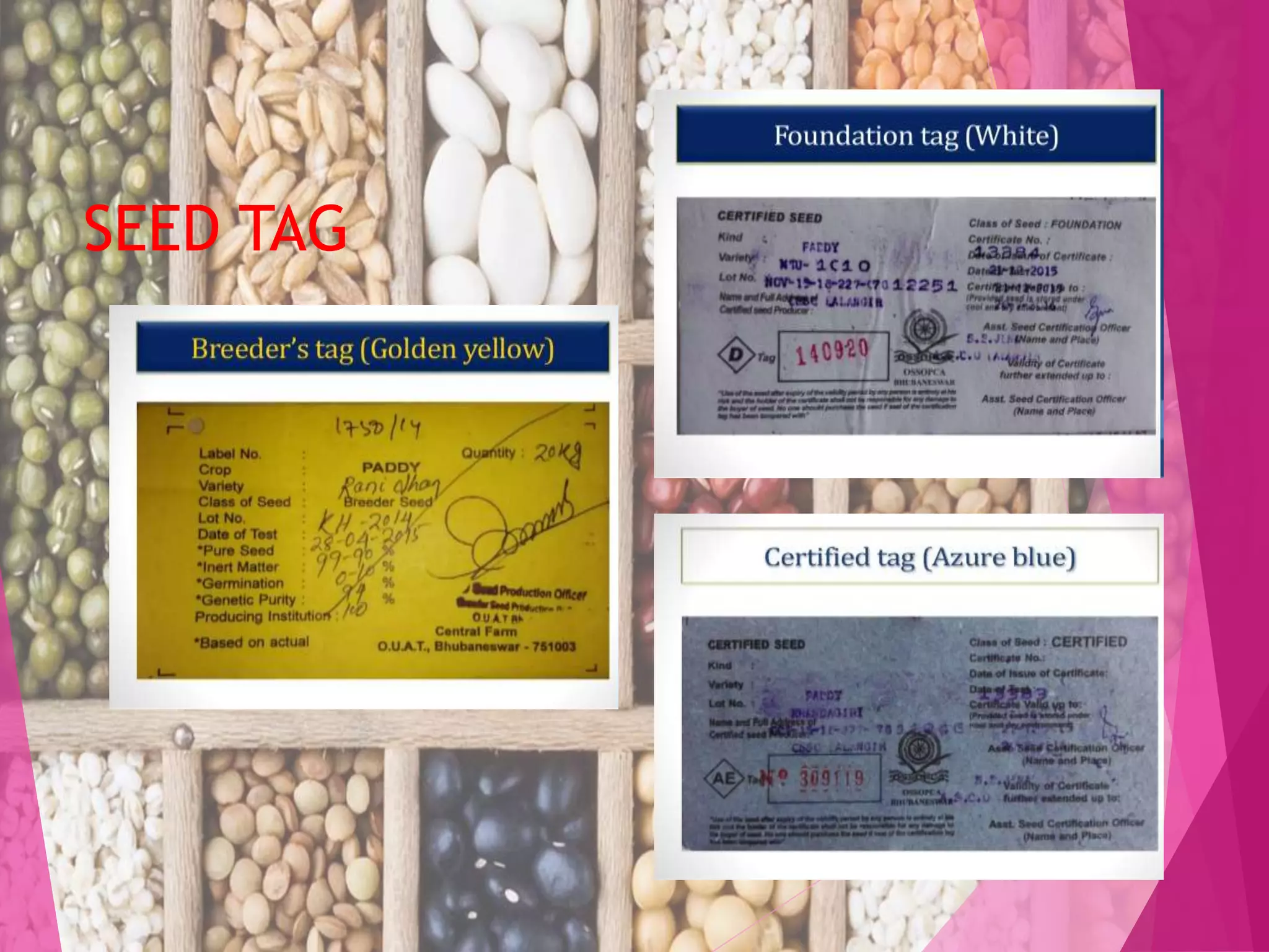 Quality Seed Production in Agriculture | PPTX