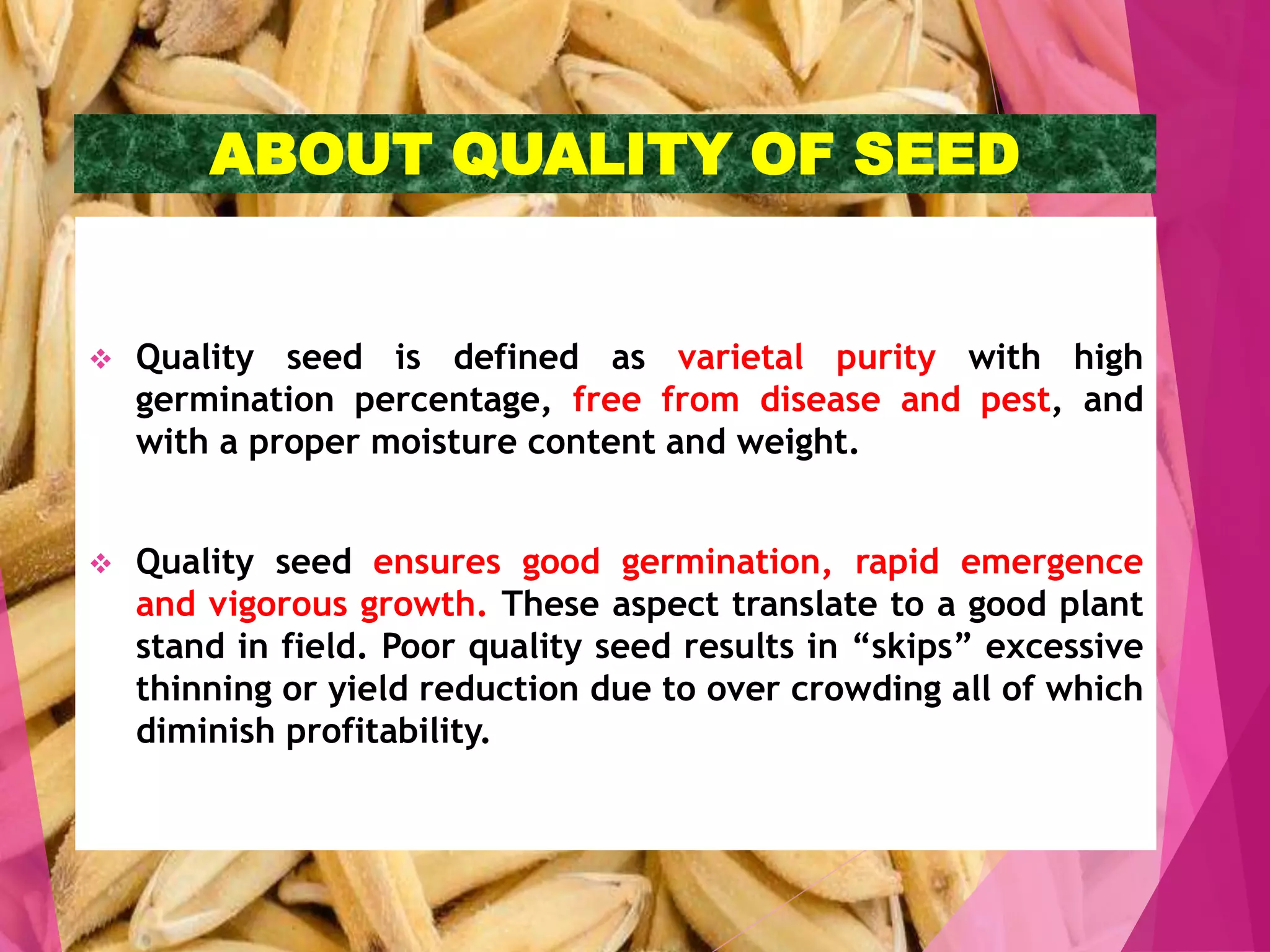 Quality Seed Production in Agriculture | PPTX