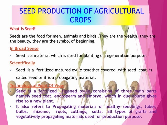 Quality Seed Production in Agriculture | PPTX