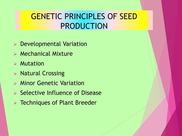 Quality Seed Production in Agriculture | PPTX