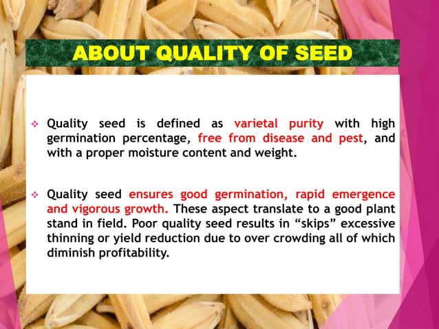 Quality Seed Production in Agriculture | PPTX