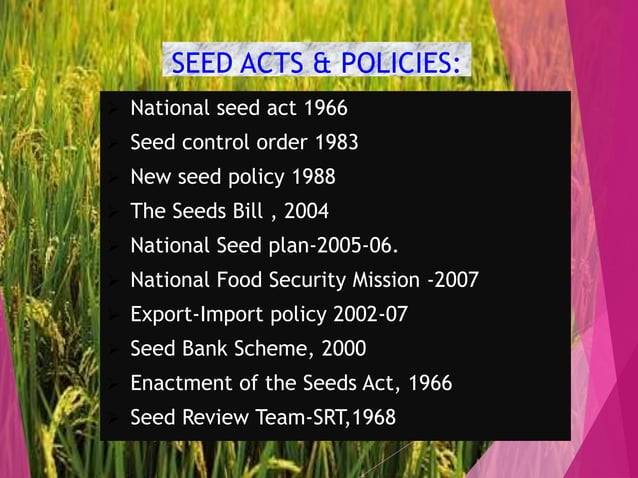 Quality Seed Production in Agriculture | PPTX