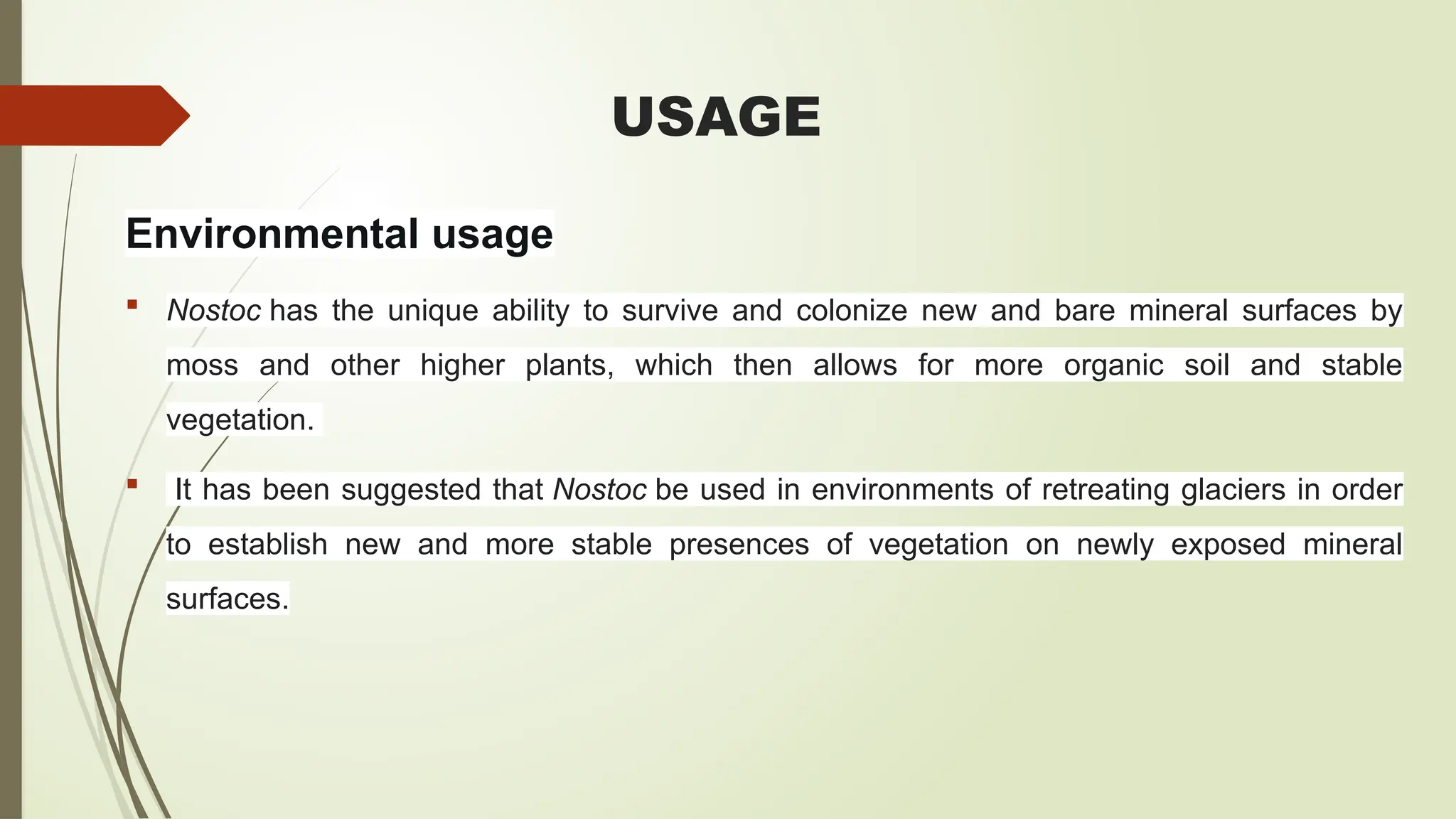 Introduction to Nostoc--A kind of Cyanobacteria|PPT | PPTX