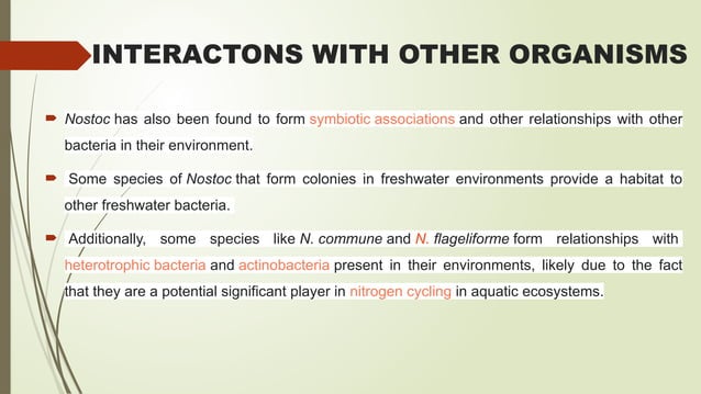 Introduction to Nostoc--A kind of Cyanobacteria|PPT | PPTX