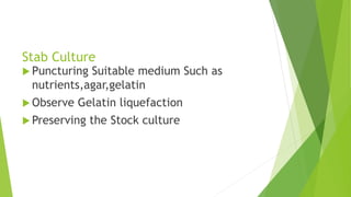 Growing and Harvesting Of Bacterial Culture | PPTX