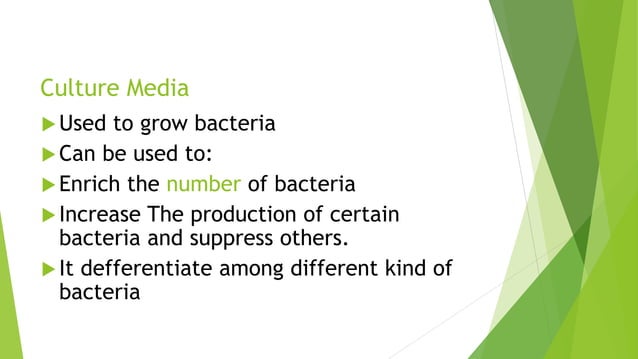 Growing and Harvesting Of Bacterial Culture | PPT