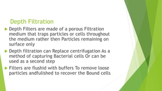 Growing and Harvesting Of Bacterial Culture | PPTX