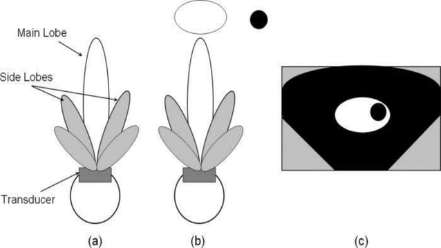 Side lobes and Harmonic Imaging | PPTX | Digital Audio | Computer ...