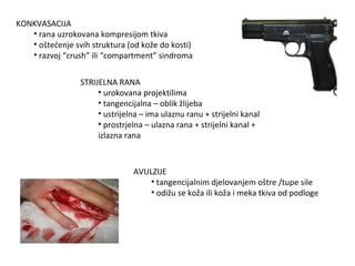 Rana | PPT