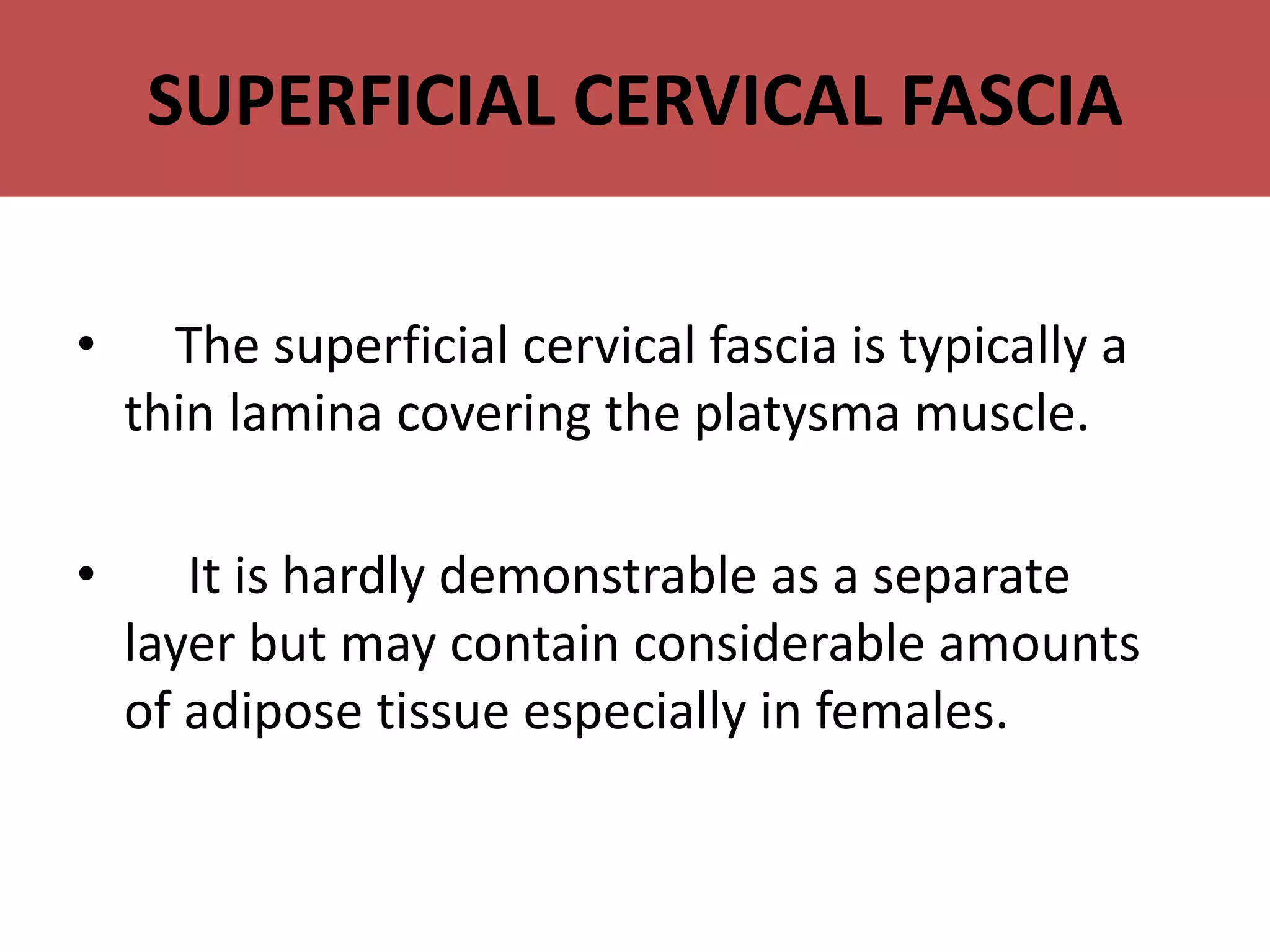 cervical fascia | PPTX