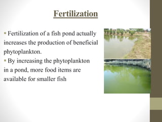 Induce breeding of carps | PPTX