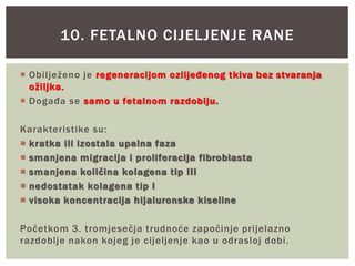 Rana i cijeljenje rane | PPSX