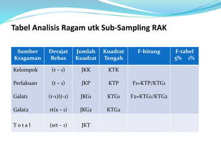 Rancangan acak kelompok (RAK) | PPTX