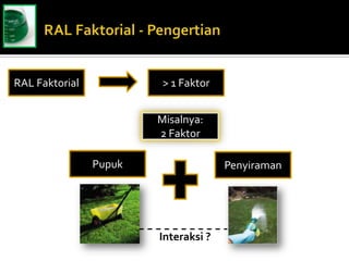 Rancangan acak lengkap faktorial | PPTX