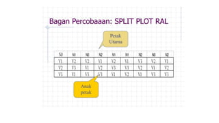 RANCANGAN SPLIT PLOT.pptx