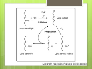 Rancidity & Lipid Peroxidation | PPTX